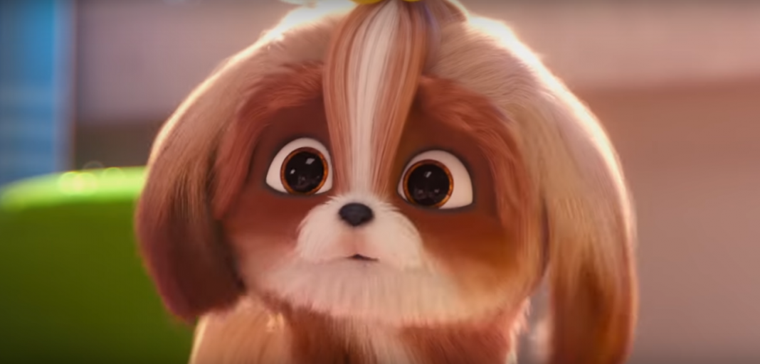 Pets 2 Daisy è la protagonista della nuova clip dal cartoon Illumination