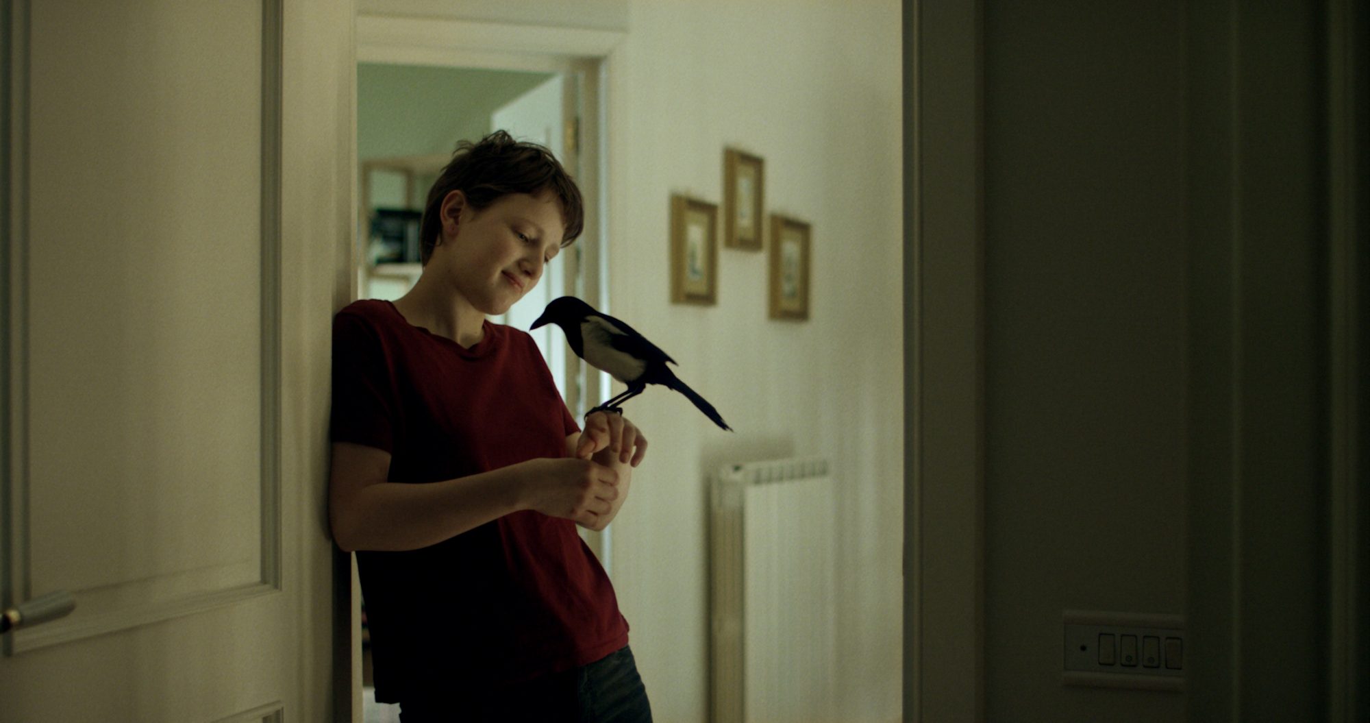 Semina il vento, tutto sul film e un'intervista al regista Danilo Caputi