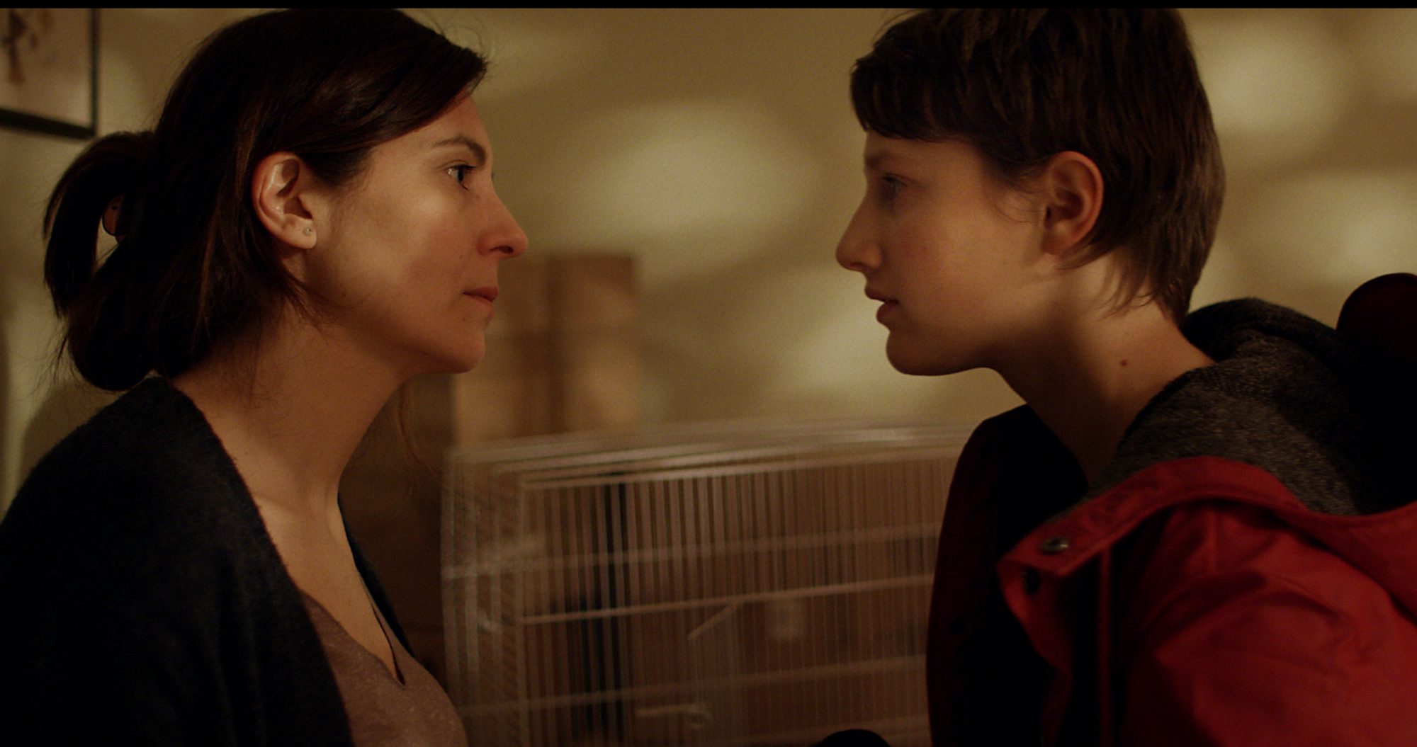 Semina il vento, tutto sul film e un'intervista al regista Danilo Caputi