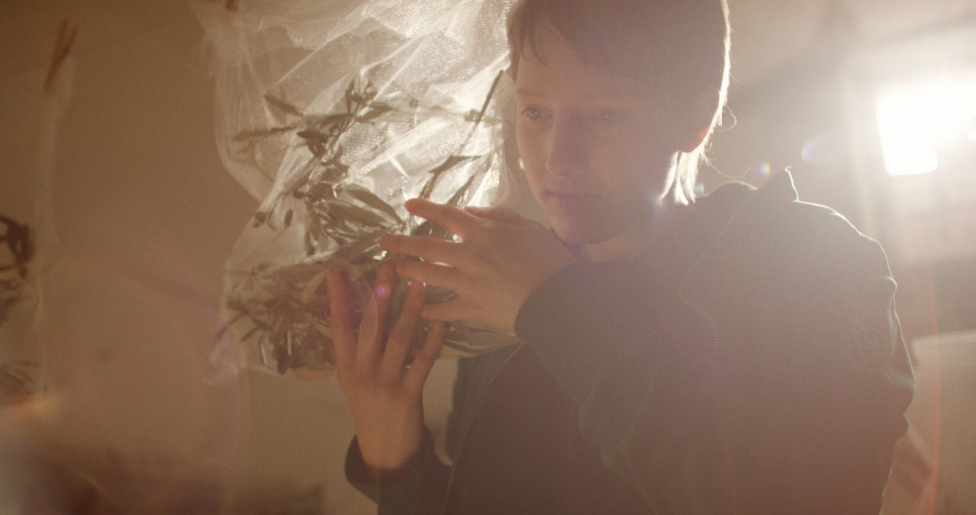 Semina il vento, tutto sul film e un'intervista al regista Danilo Caputi