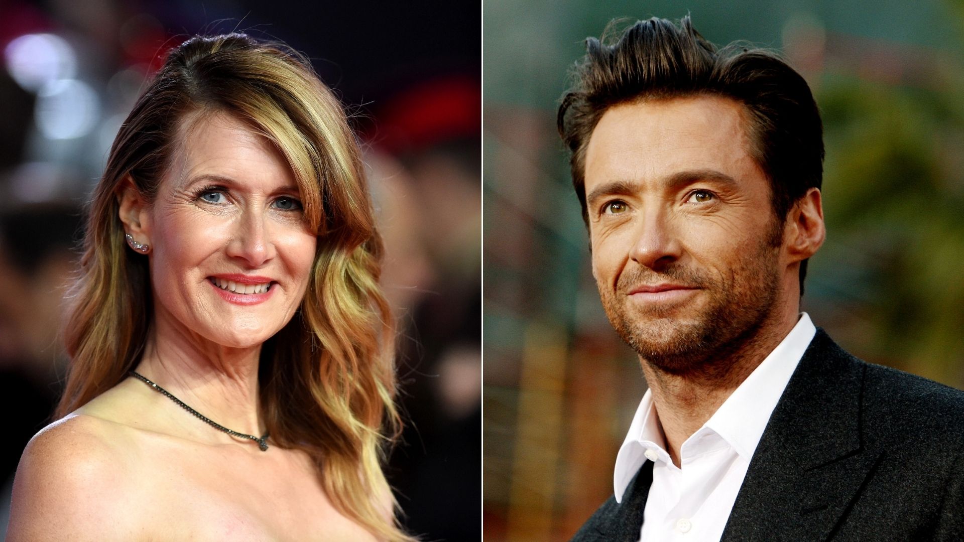 The Son Hugh Jackman E Laura Dern Protagonisti Del Nuovo Film Di