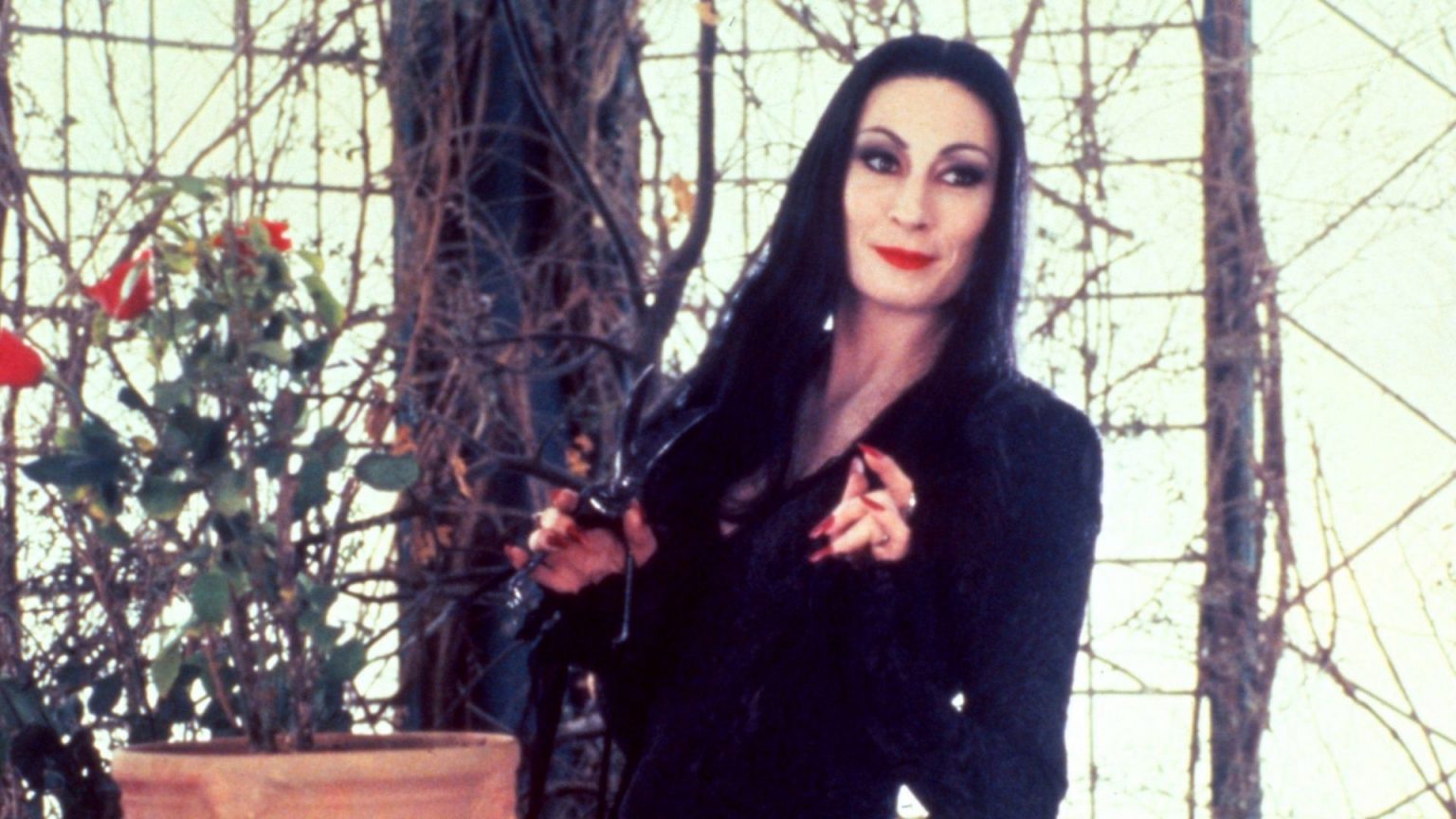 Wednesday, svelata l'attrice che interpreterà Morticia Addams nella ...
