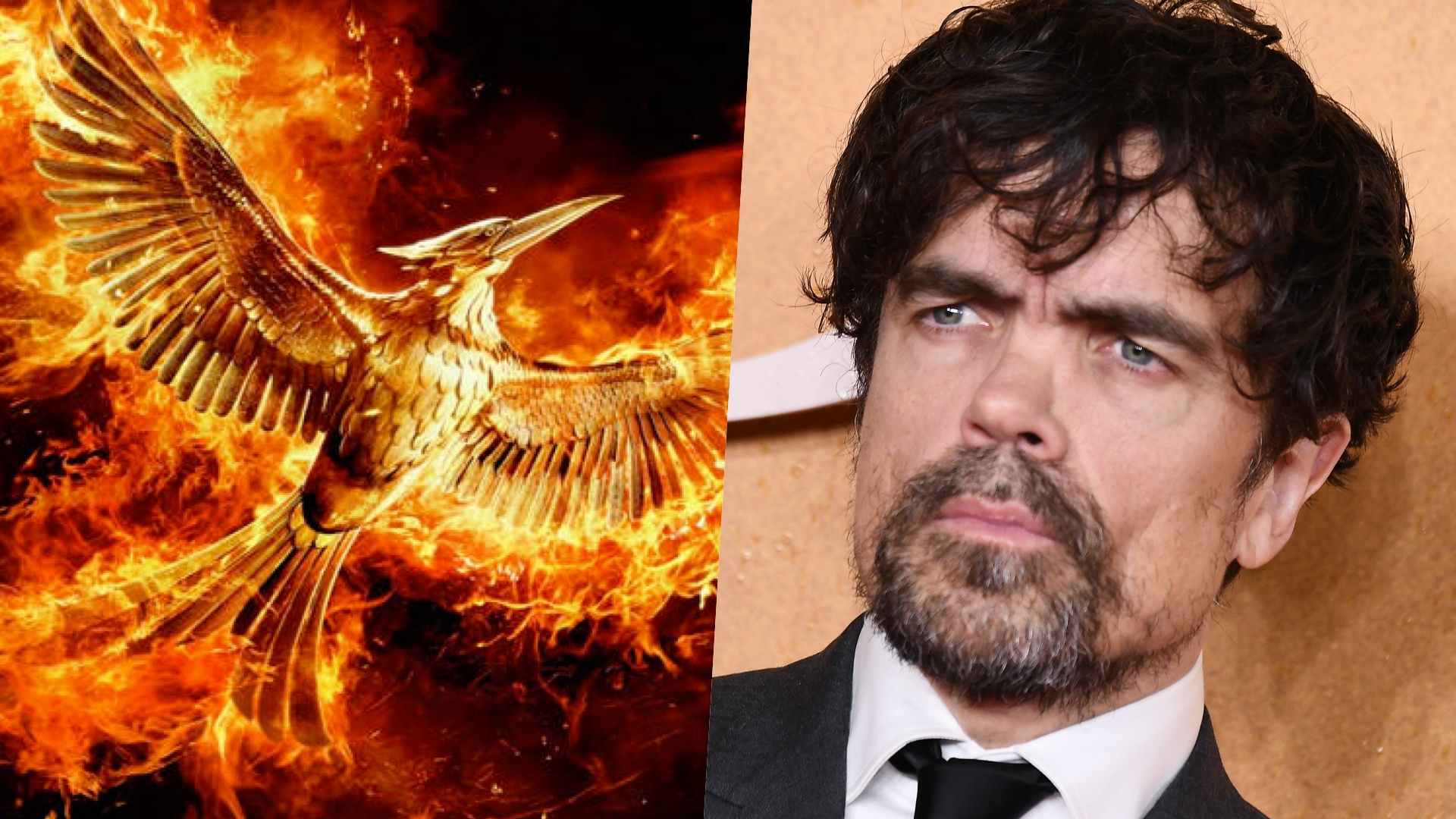 Peter Dinklage entra nel cast del prequel di The Hunger Games: ecco il ...