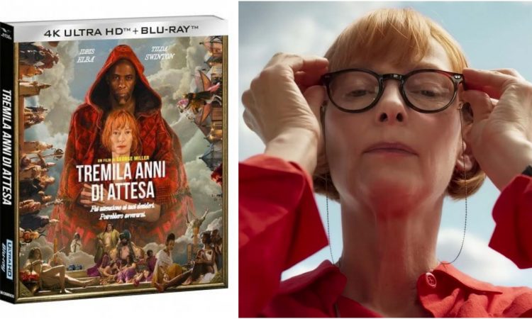 La videoteca perfetta - Best Movie