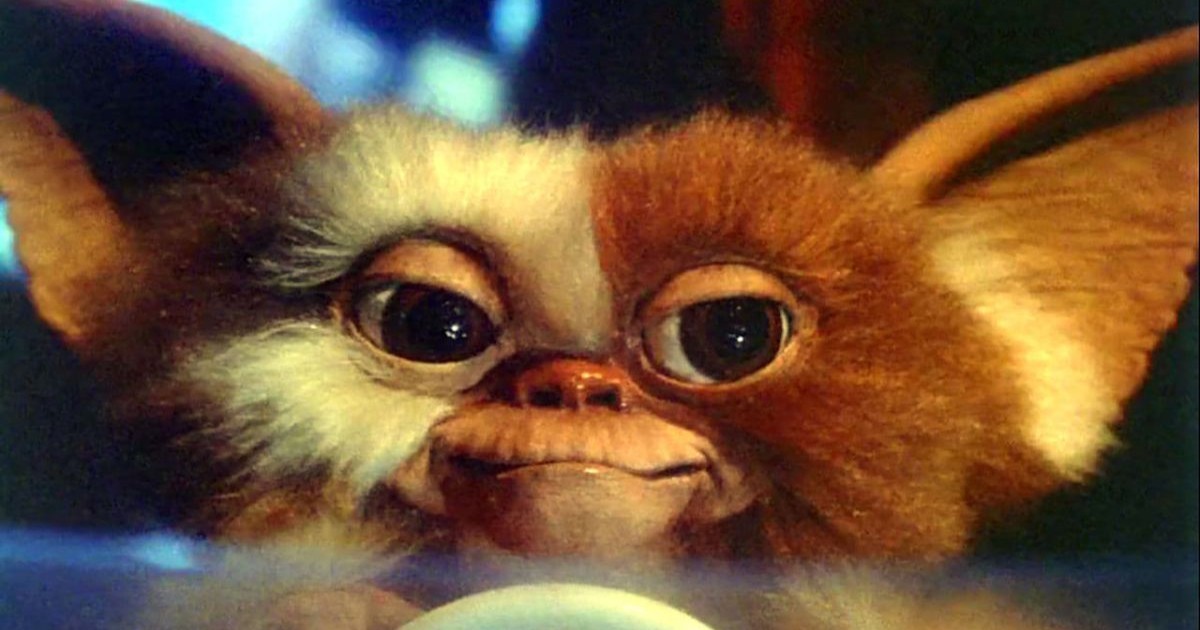 Gremlins, il cult degli anni '80 tornerà con un nuovo film. E c'è già ...