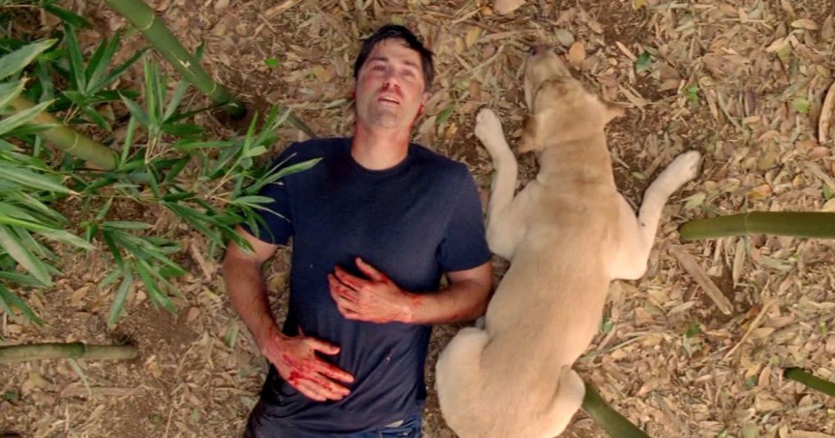 Lost: il vero finale della serie è arrivato solo tre mesi dopo (e quasi nessuno lo ha visto)